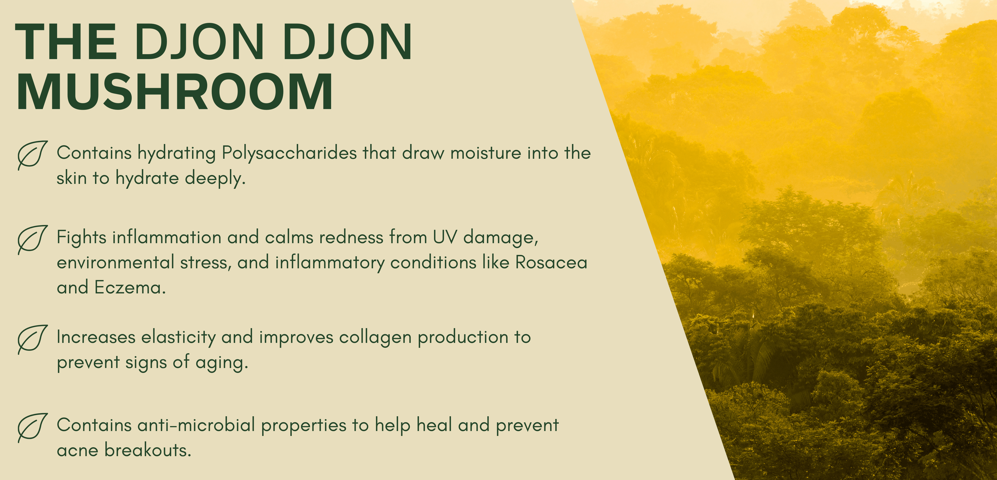 Key Ingredients: Morganna's Alchemy Luxury Skin Care